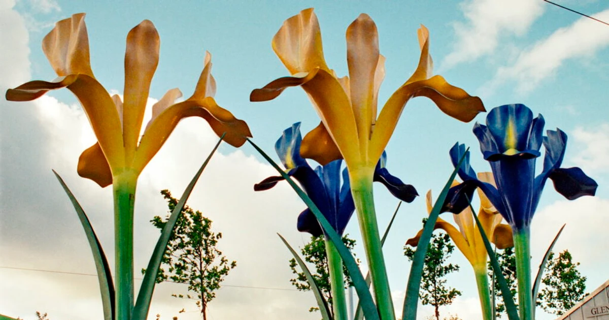 Iris Sculpture - Glenrothes' Iconic Landmark And Artistic Treasure