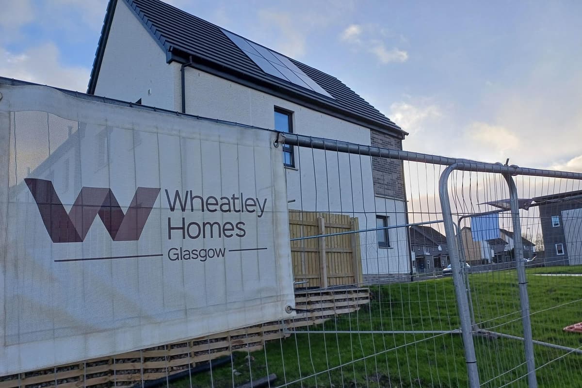 23 Scottish Charitable Organizations Making A Big Impact In 2025