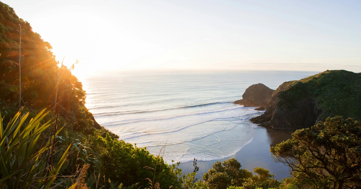 Is A Cheap Travel Insurance To New Zealand Safe?
