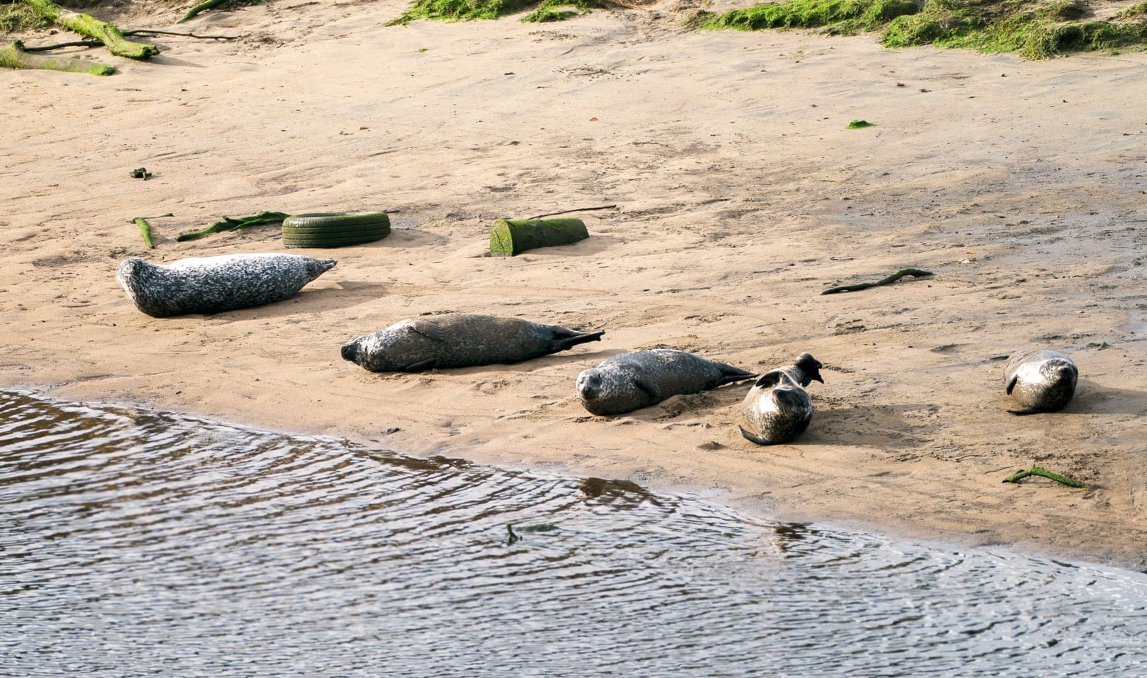 What To See In Aberdeen - 85 Landmarks, Local Gems & Day Trips